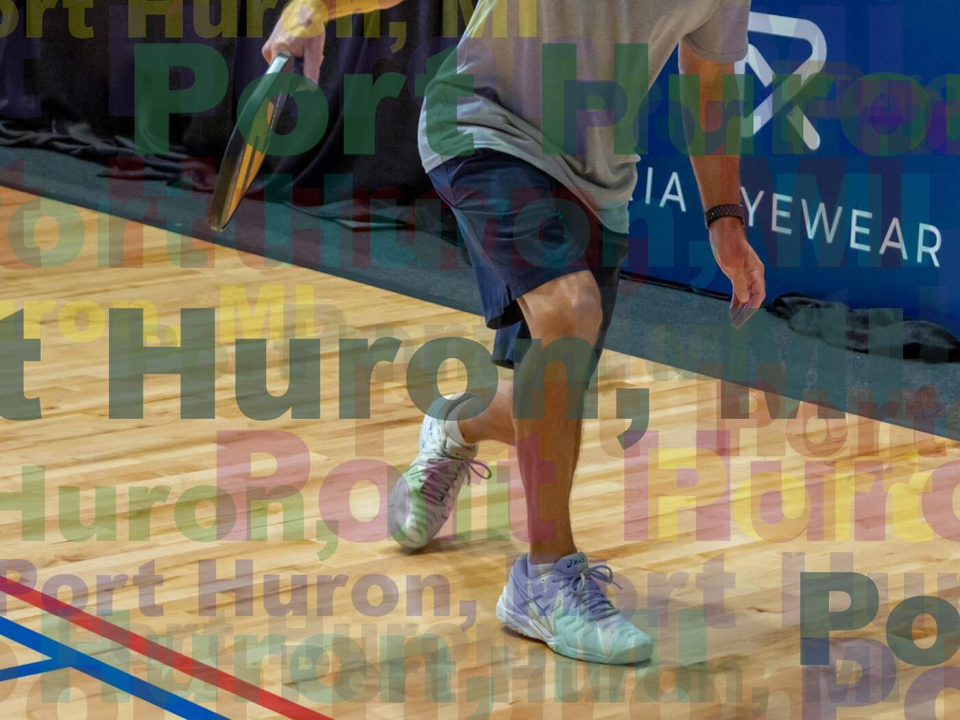 Play Pickleball in Port Huron - Courts & Clinics